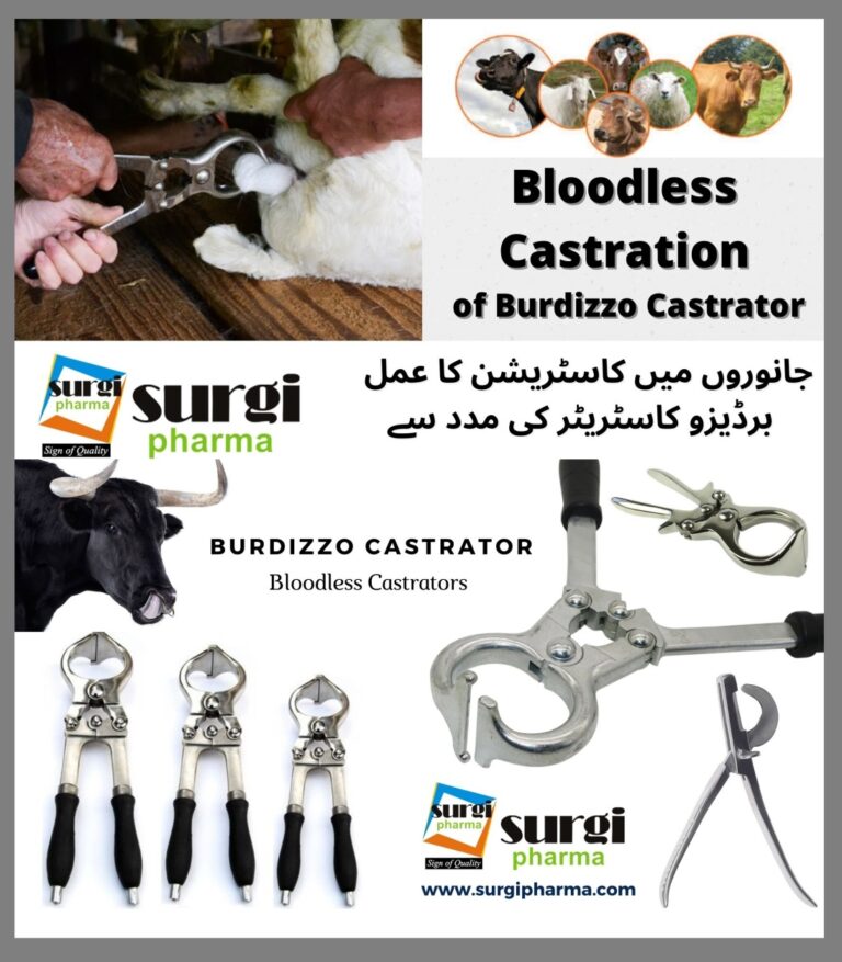 Veterinary / Surgical farming Livestock Instruments